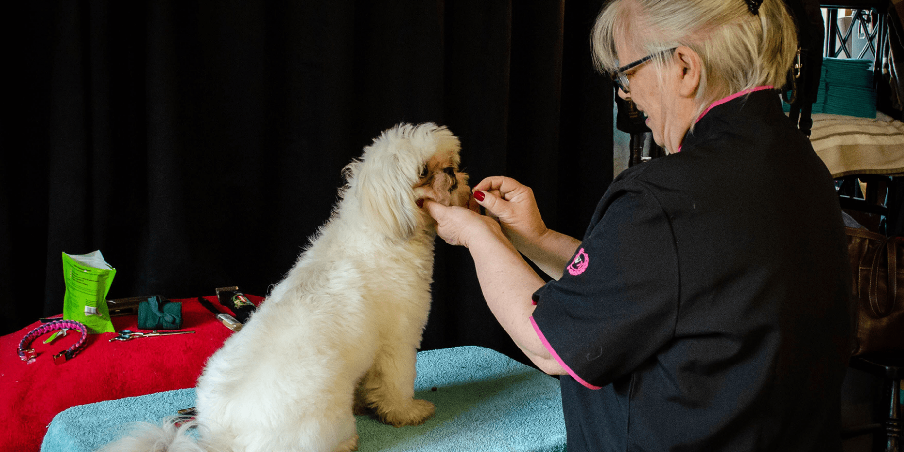 Grooming Behaviour Modification Programme - Happy Paws With Sue